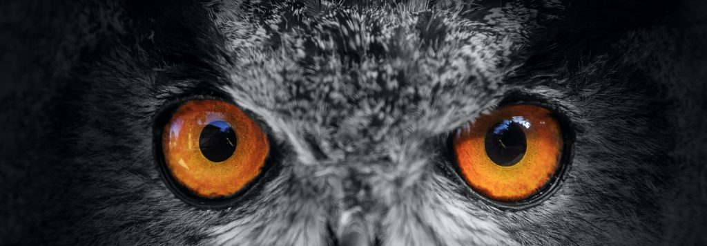 Investors - Calnex Solutions plc